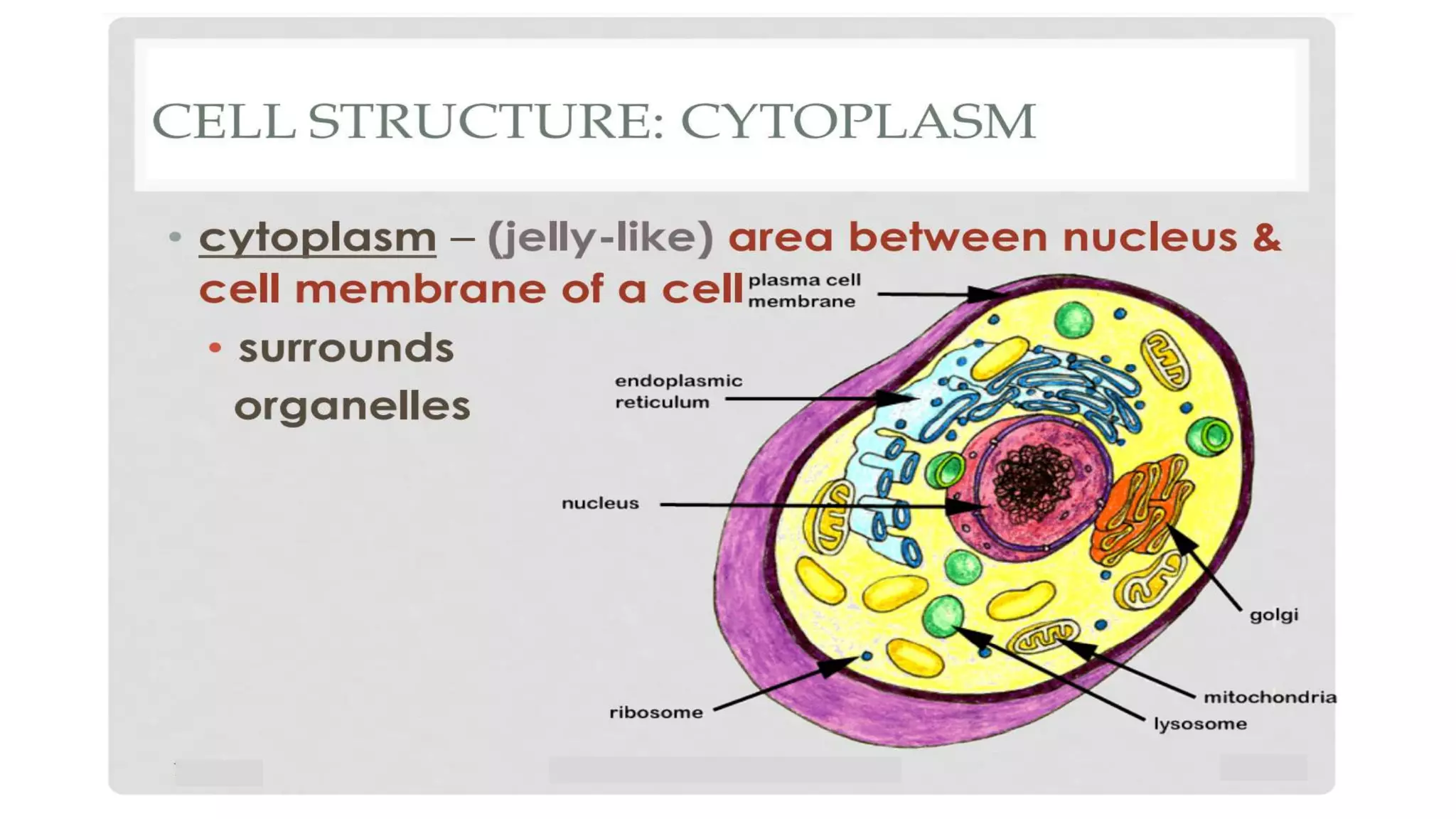 Biochemistry cell (1) | PPT