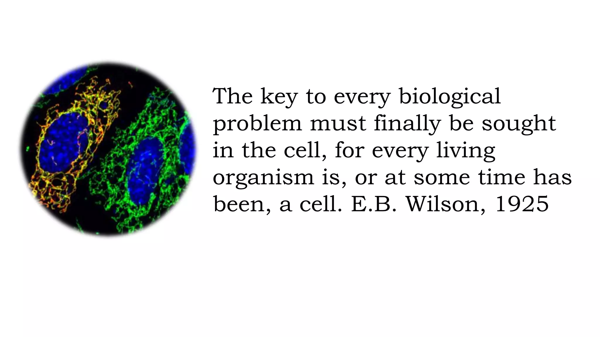 Biochemistry cell (1) | PPTX