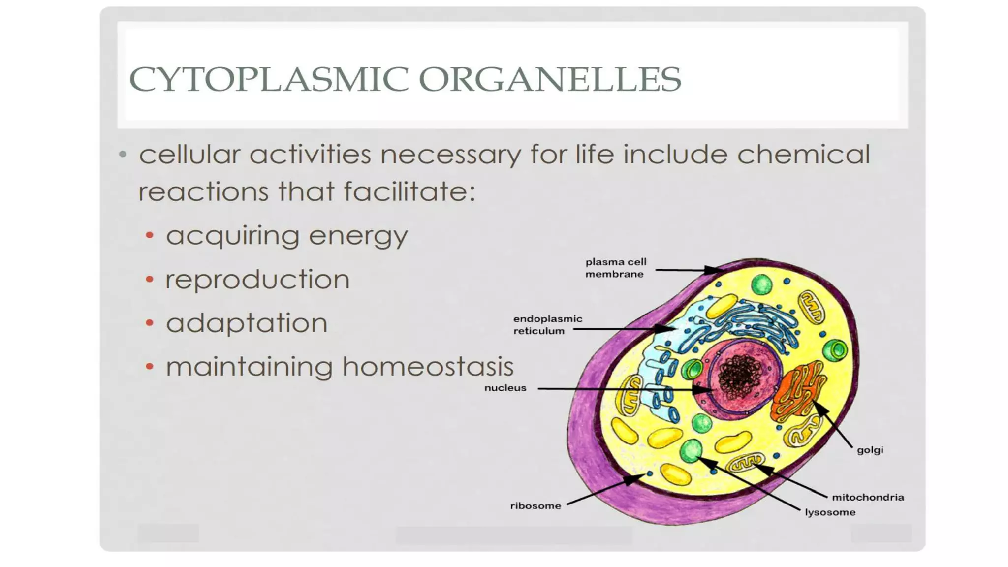 Biochemistry cell (1) | PPT