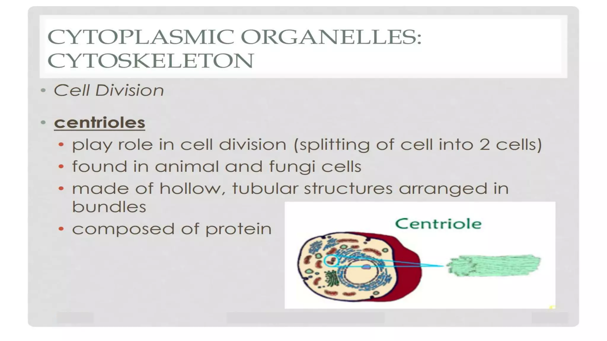 Biochemistry cell (1) | PPT