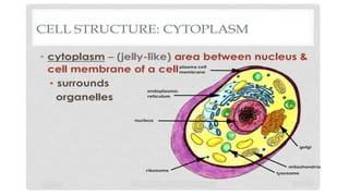 Biochemistry cell (1) | PPT