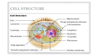 Biochemistry cell (1) | PPT