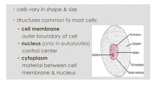 Biochemistry cell (1) | PPTX