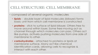 Biochemistry cell (1) | PPTX