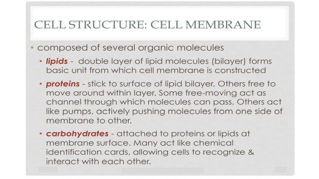 Biochemistry cell (1) | PPT