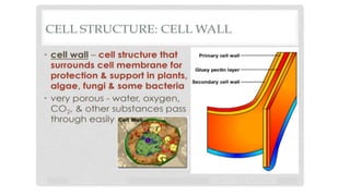 Biochemistry cell (1) | PPT