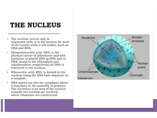 Biochemistry (Cell and its Biochemical Organization) | PDF