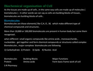 biochemistry chapter 1.pdf