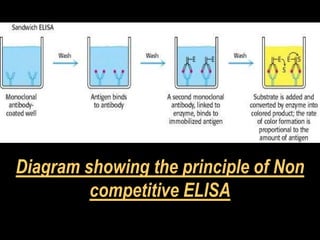 ELISA and RIA | PPTX