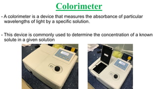 Biochemistry (estimation of creatinine and uric acid) | PDF