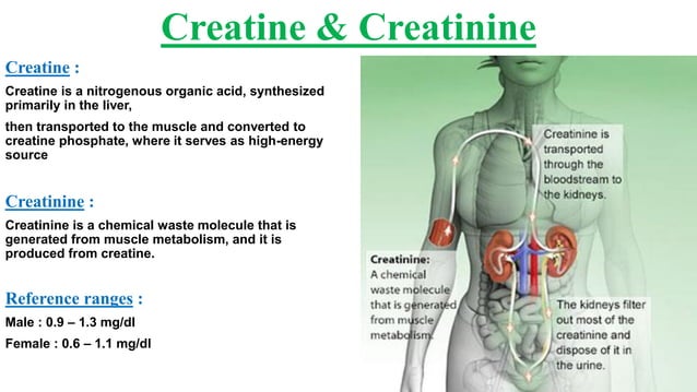 Biochemistry (estimation of creatinine and uric acid) | PPT