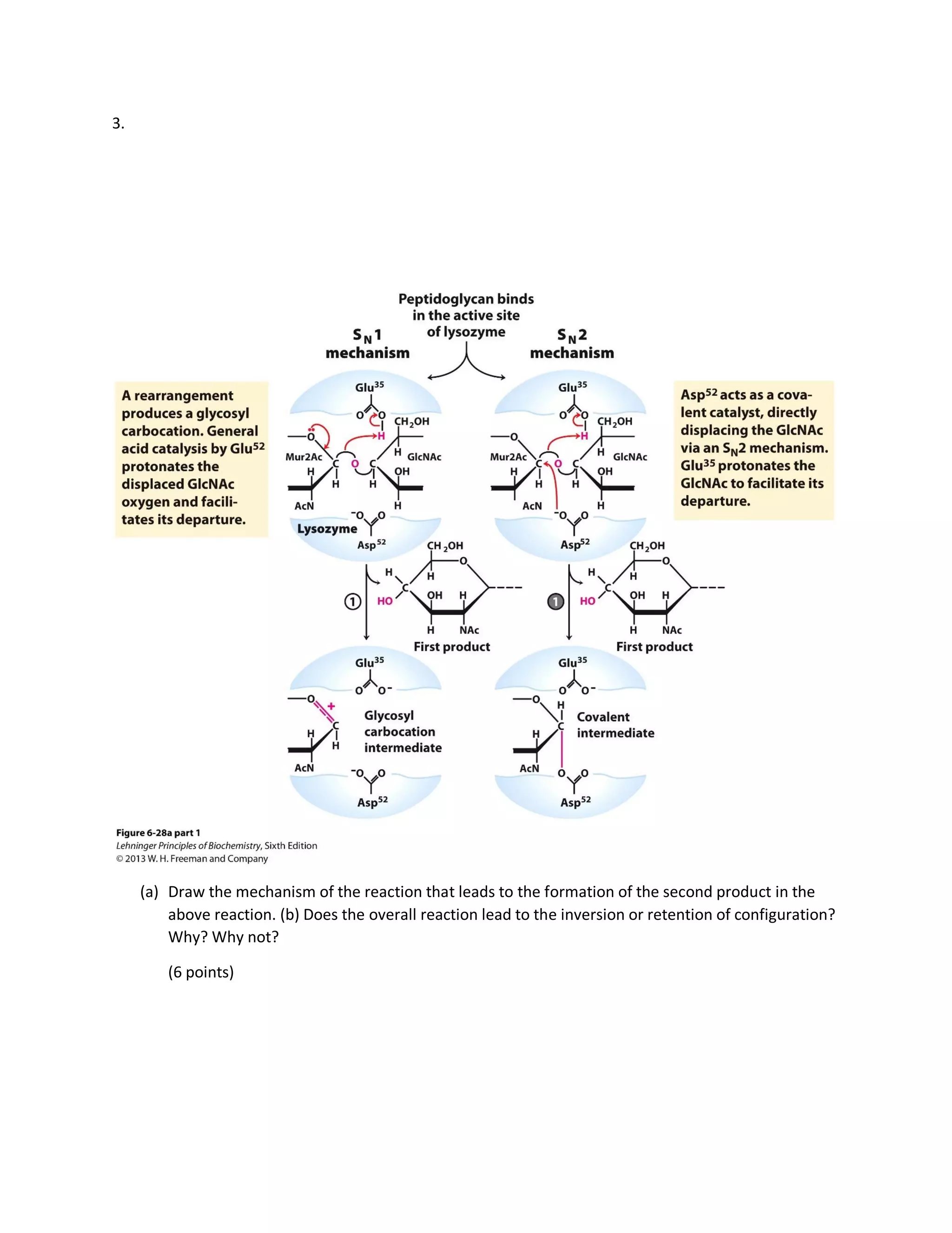 Biochemistry exam 3 enzyme sugars nov2016 S Jamal | PDF