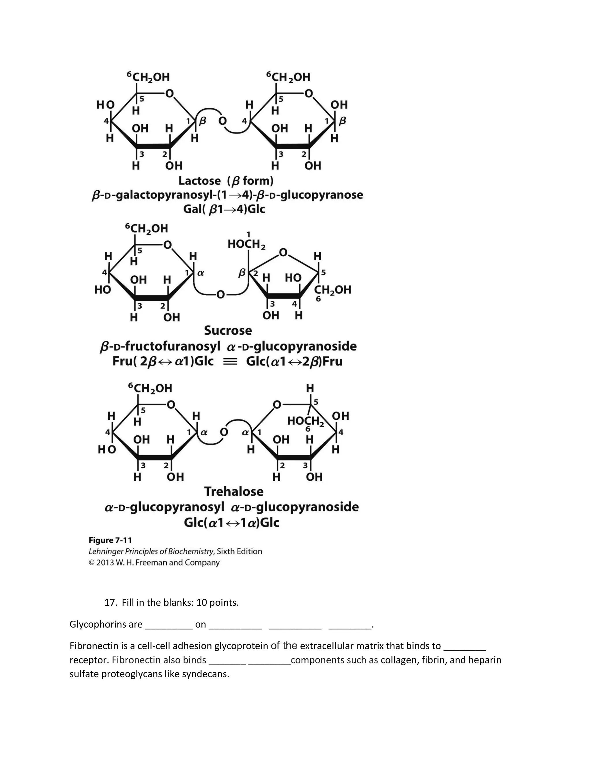 Biochemistry exam 3 enzyme sugars nov2016 S Jamal | PDF