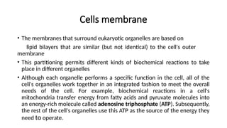BIOCHEMISTRY for nurses 1267850986355427835537846 | PPTX