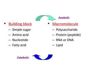 Introduction to Biochemistry & Genetics. | PPTX