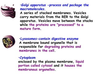 Introduction to Biochemistry & Genetics. | PPTX