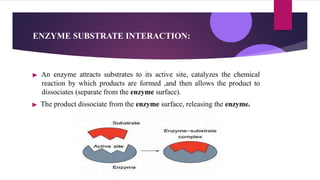 biochemistry group 1.pptx chemistry bios | PPTX