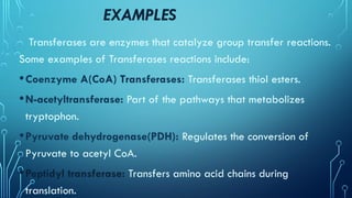BIOCHEMISTRY (Group transfer) [ZOOLOGY] | PPT