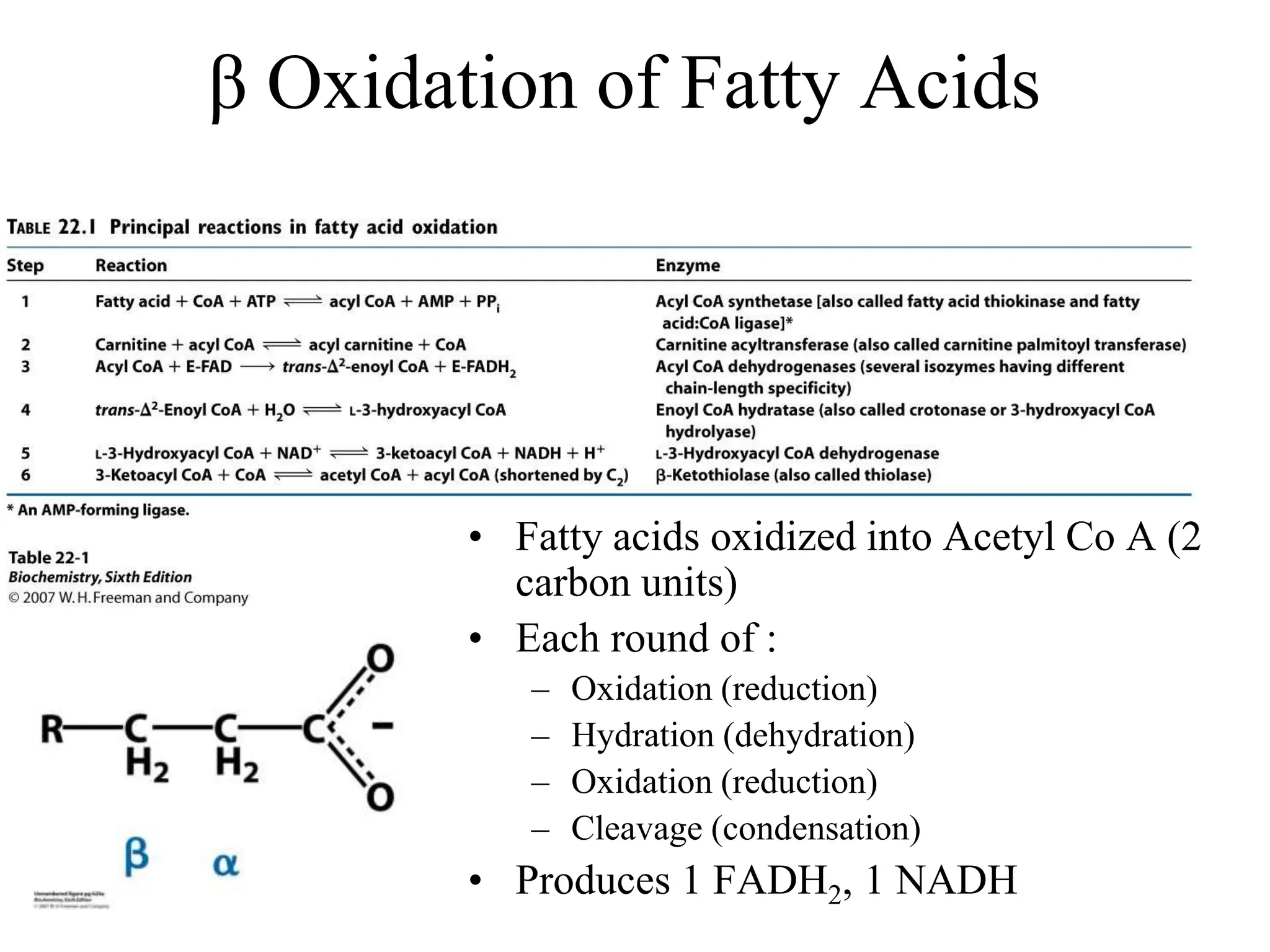 Biochemistry_II_Ch._22_Fatty_Acid_Metabolism_Spring_2011.ppt