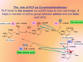 Biochemistry ii protein (metabolism of amino acids) (new edition) | PPT