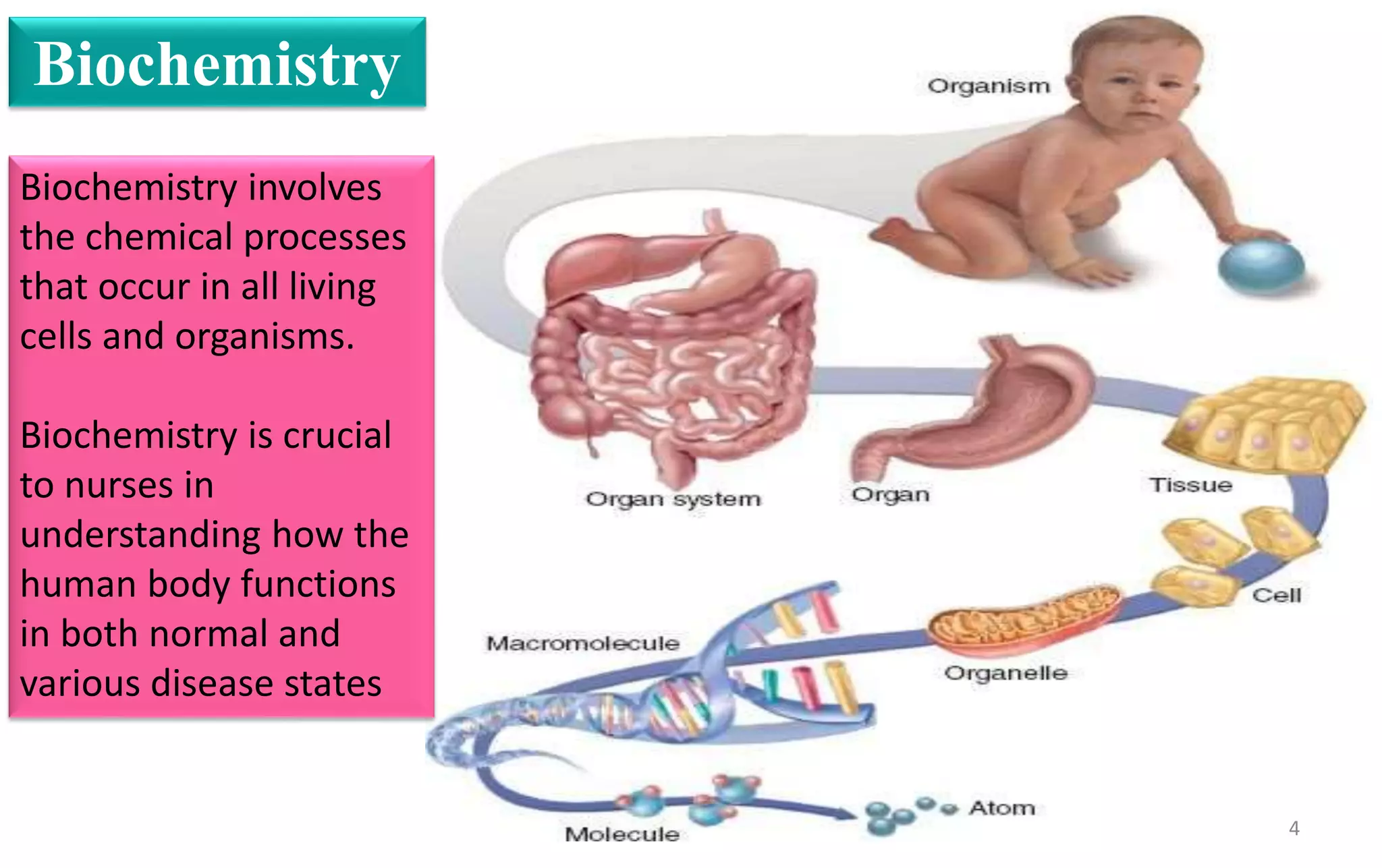 Introduction to Biochemistry | PPTX