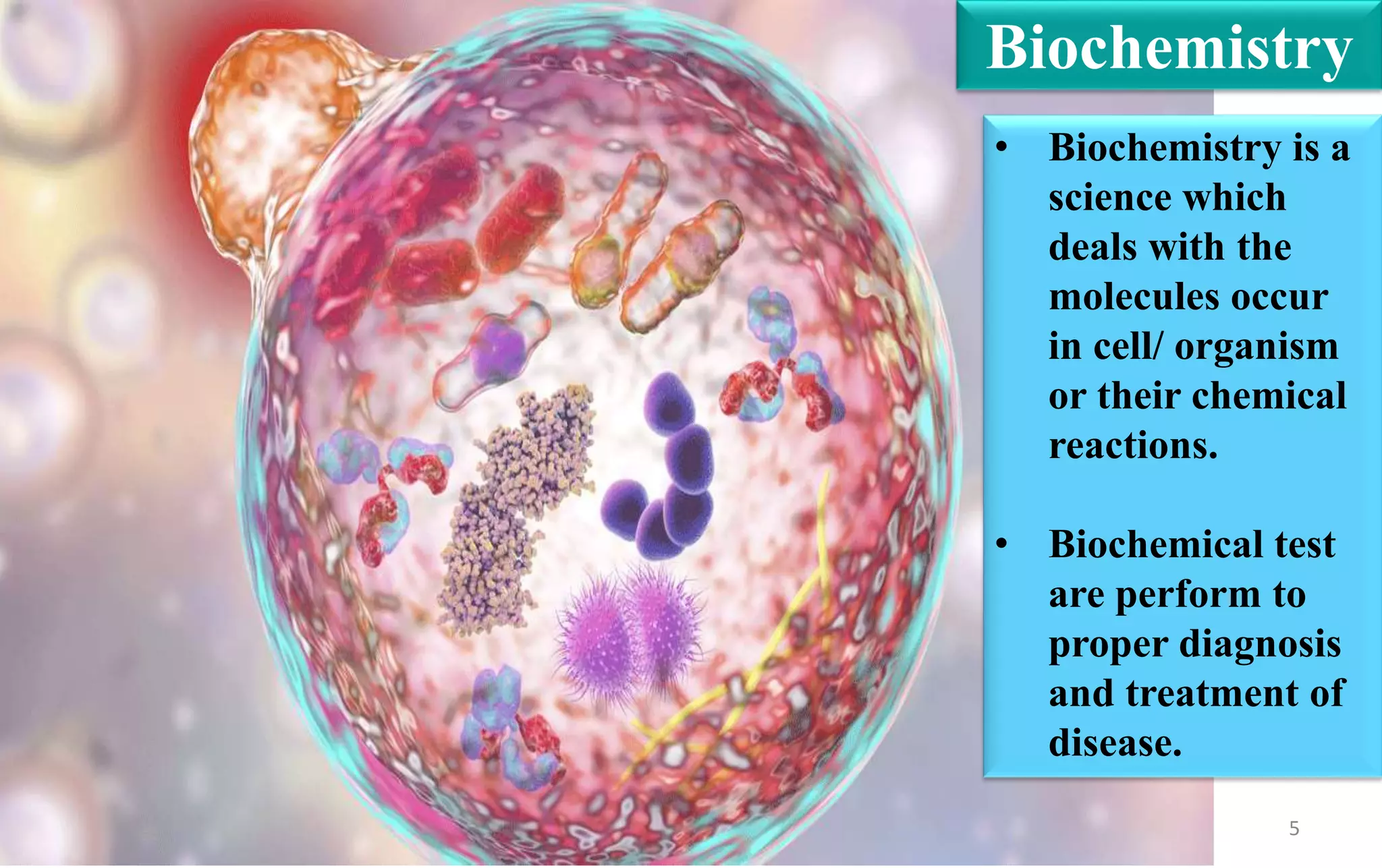 Introduction to Biochemistry | PPTX
