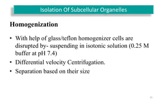 Introduction to Biochemistry | PPTX