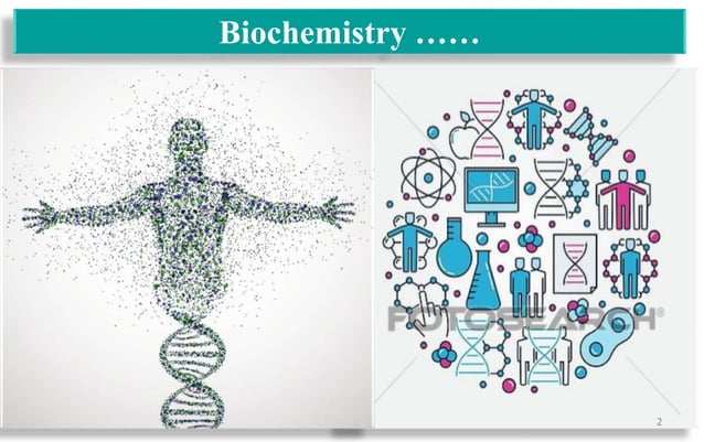 Introduction to Biochemistry | PPTX