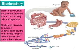 Introduction to Biochemistry | PPTX
