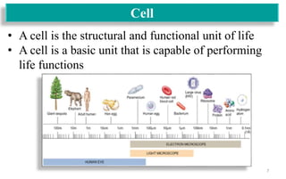 Introduction to Biochemistry | PPTX