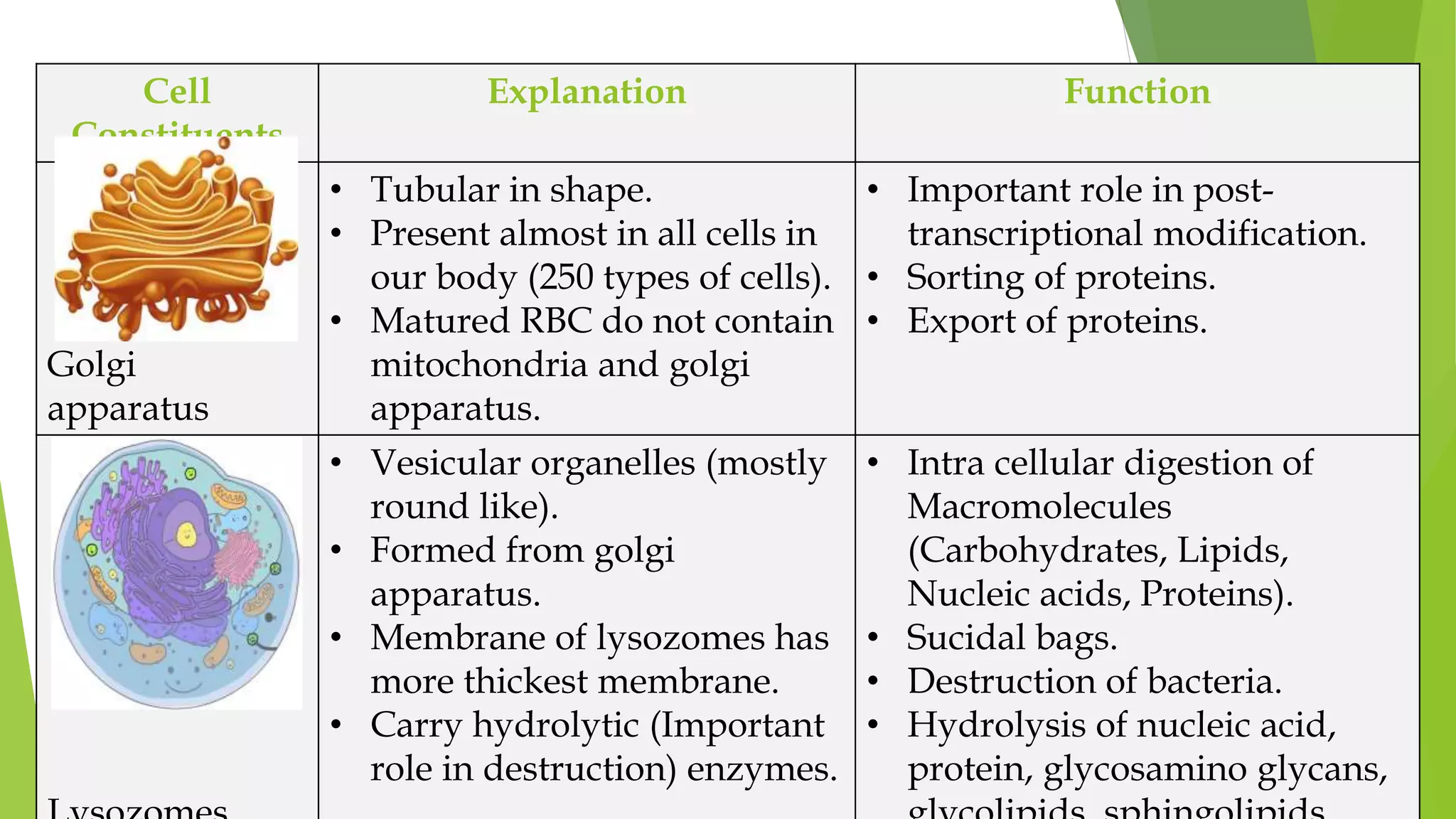Biochemistry Introduction.pptx