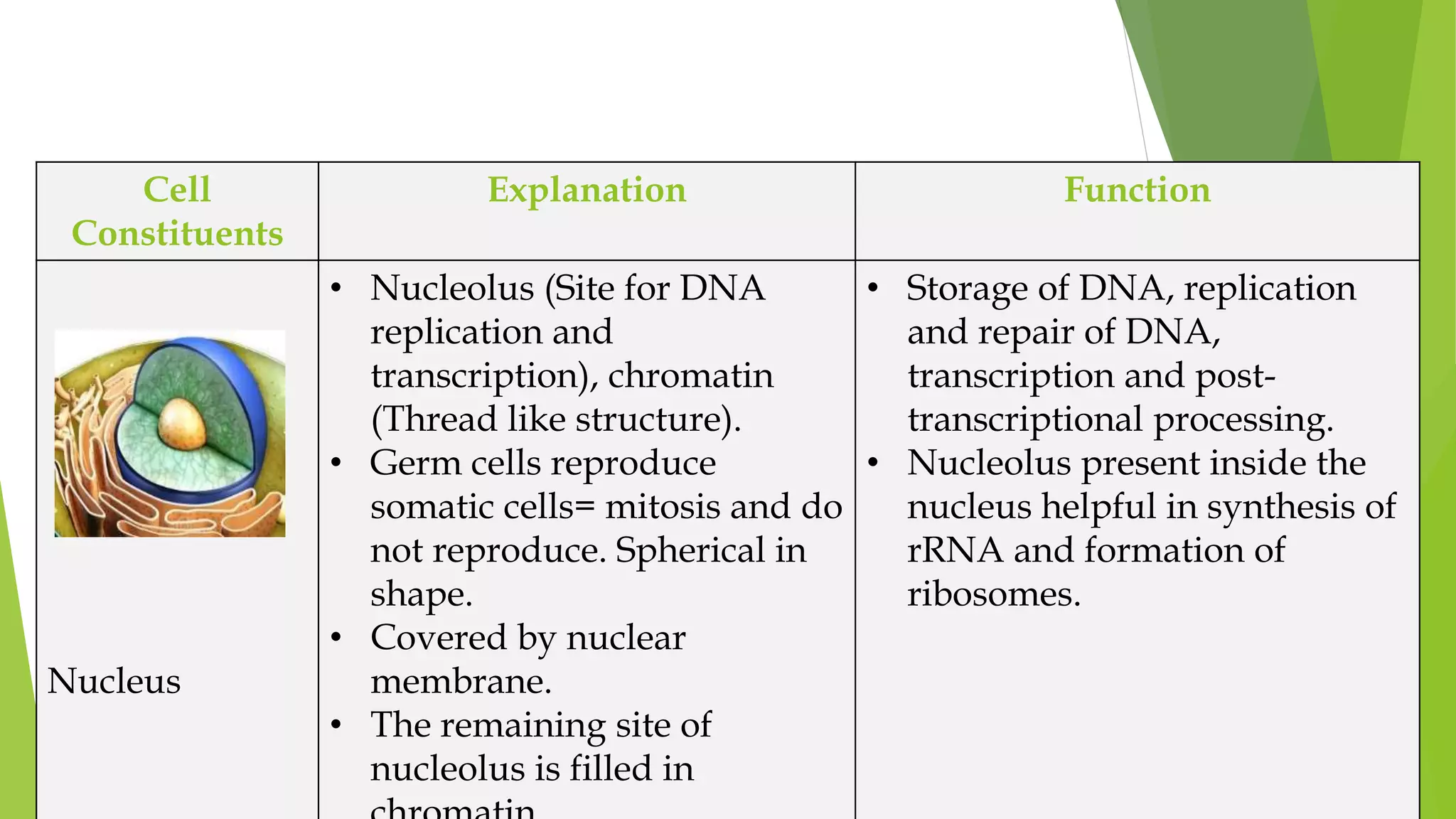 Biochemistry Introduction.pptx
