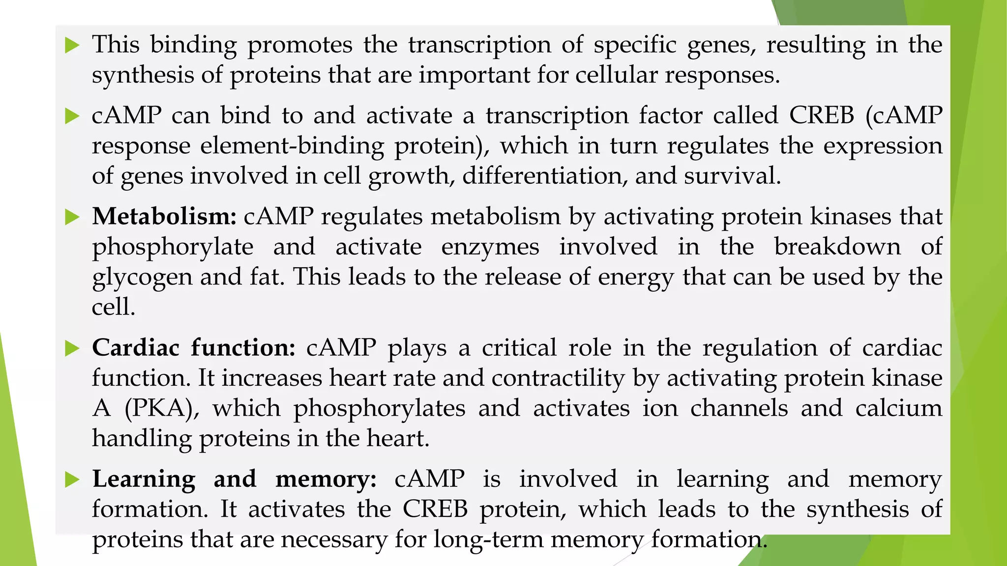 Biochemistry Introduction.pptx