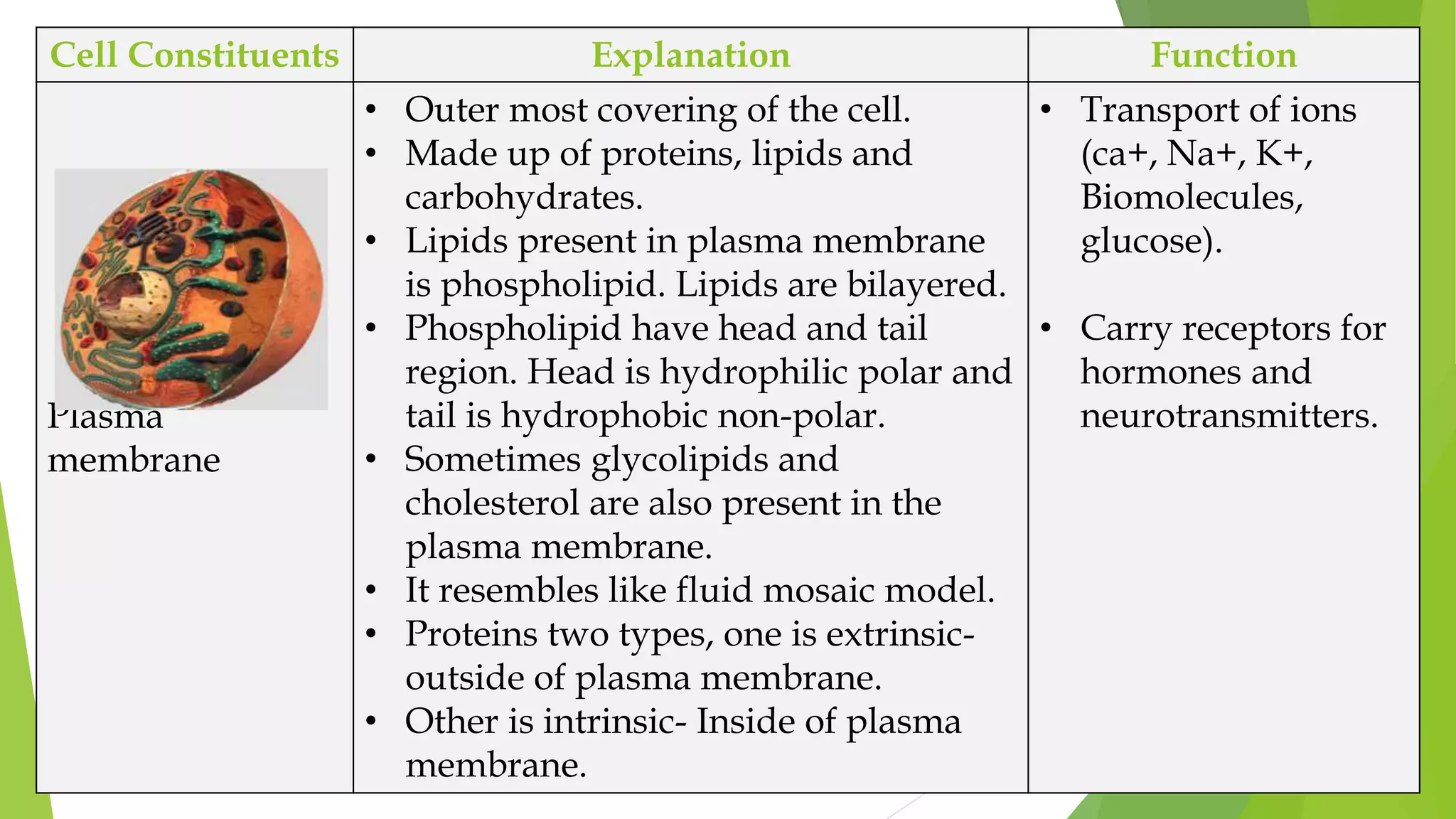 Biochemistry Introduction.pptx