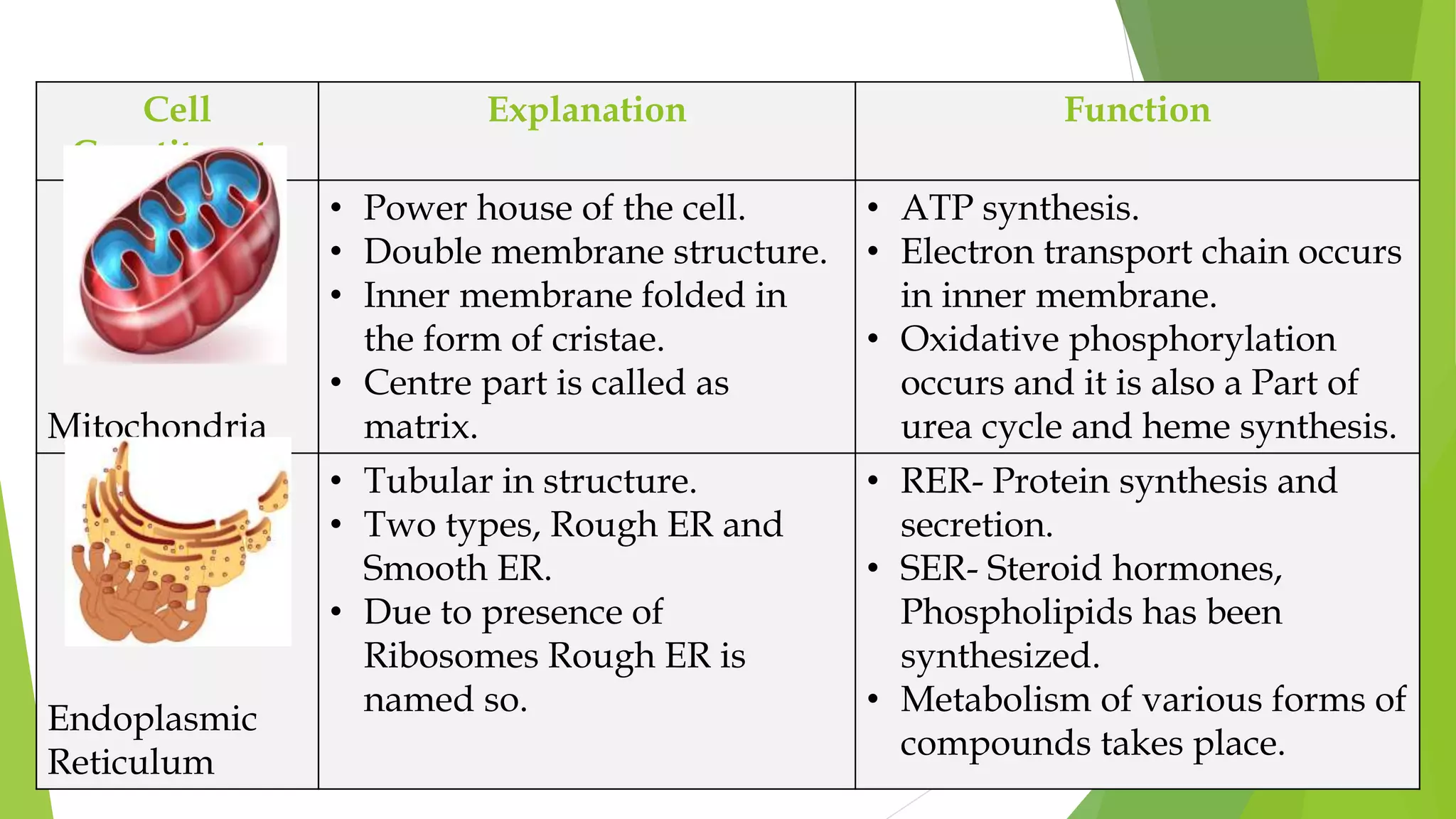 Biochemistry Introduction.pptx