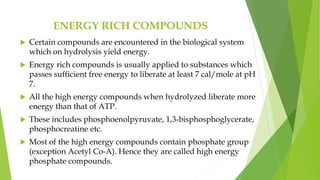 Biochemistry Introduction.pptx