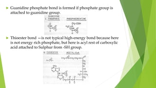 Biochemistry Introduction.pptx