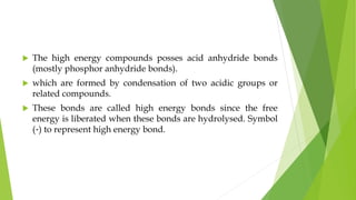 Biochemistry Introduction.pptx