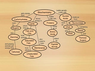 Biochemistry and its fields Introduction | PDF