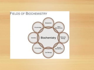 Biochemistry and its fields Introduction | PDF