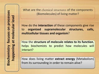 Biochemistry and its fields Introduction | PDF