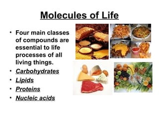 Biochemistry | PPT