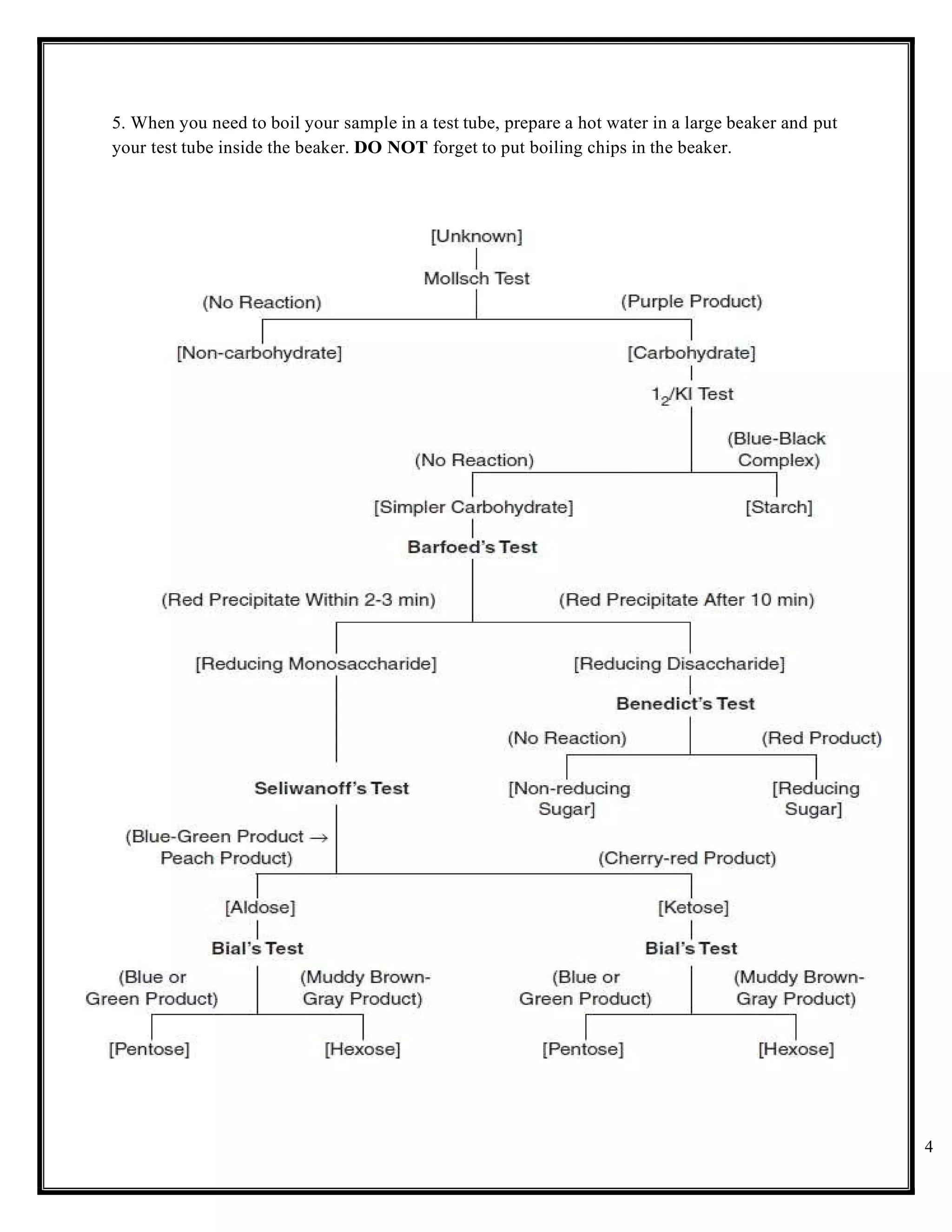 Biochemistry lab manual II semester | PDF
