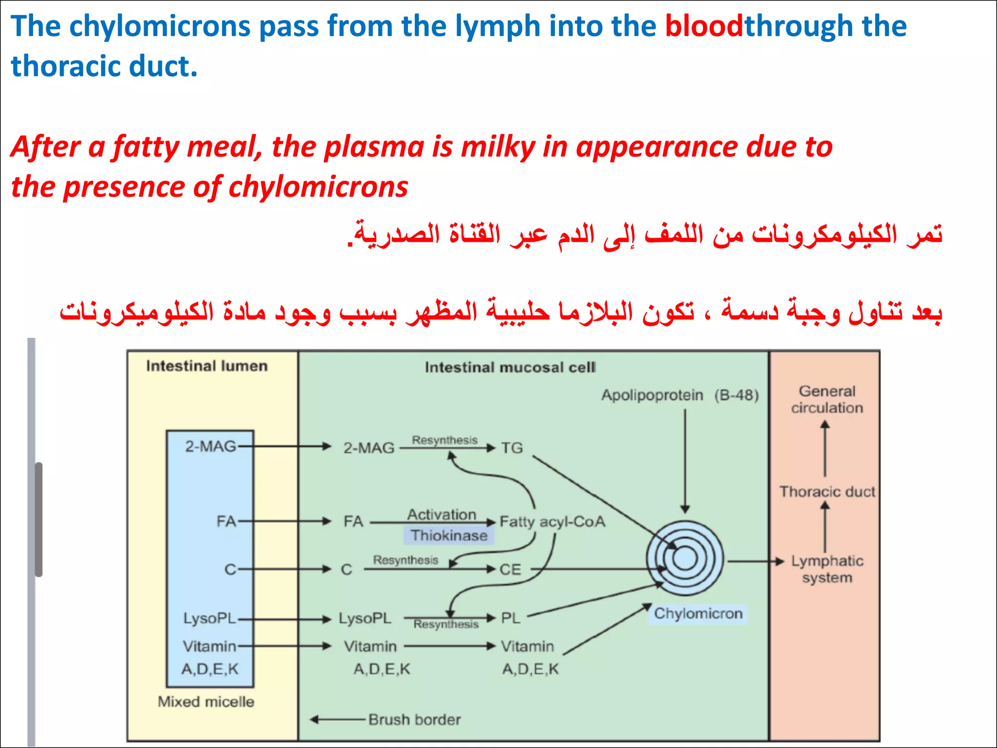 Biochemistry(lec10).pdf