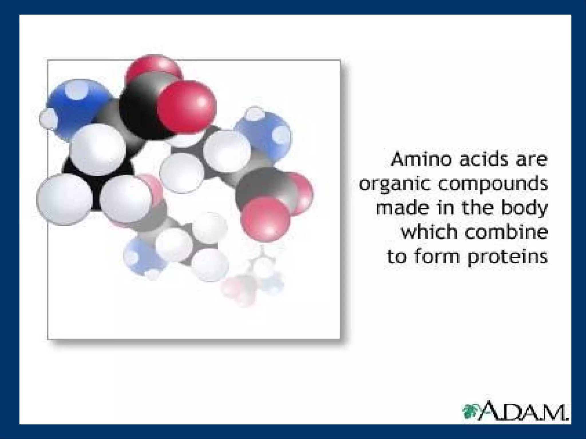 Biochemistry lecture 1 | PPT