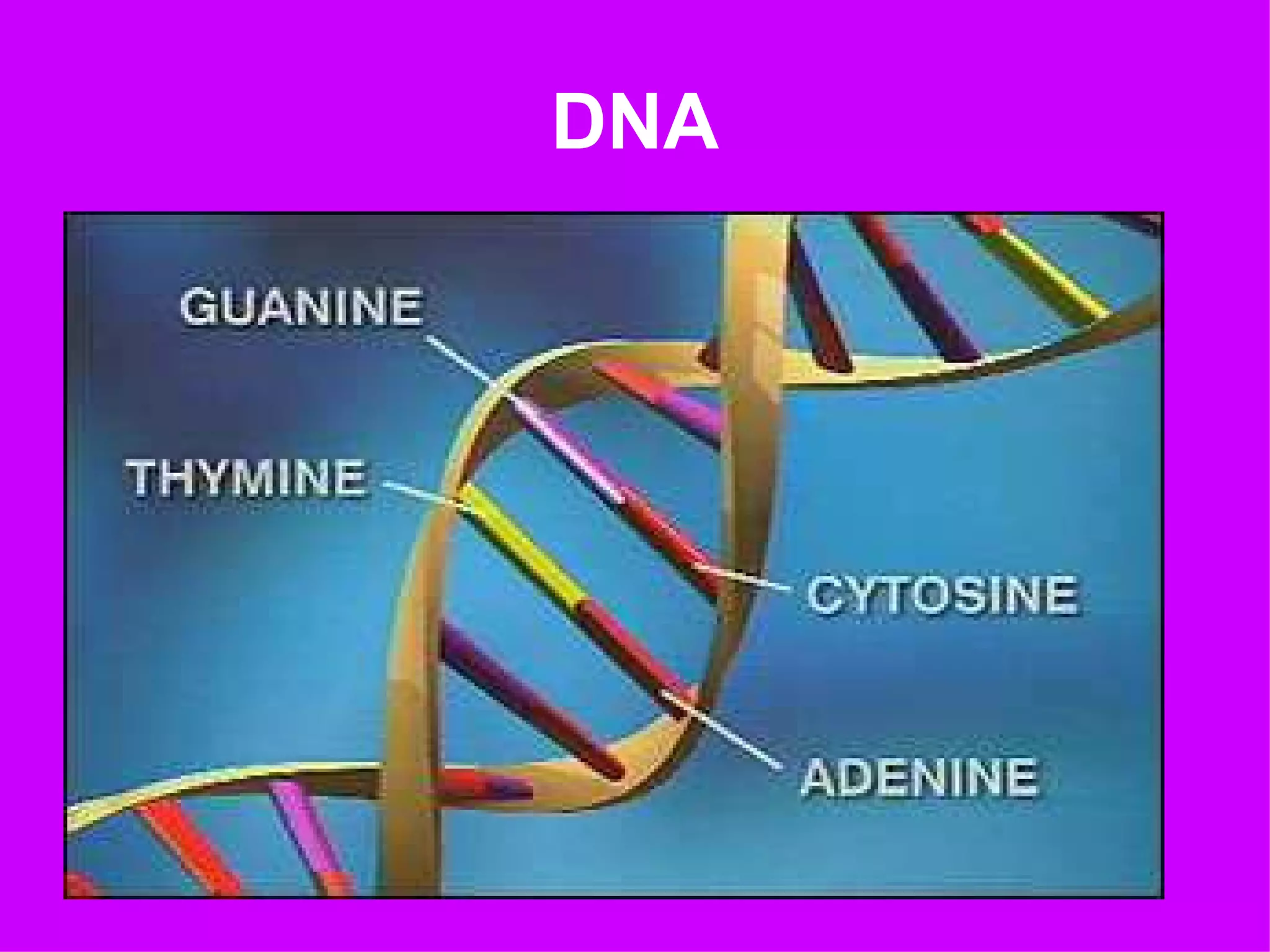 Biochemistry lecture 1 | PPT