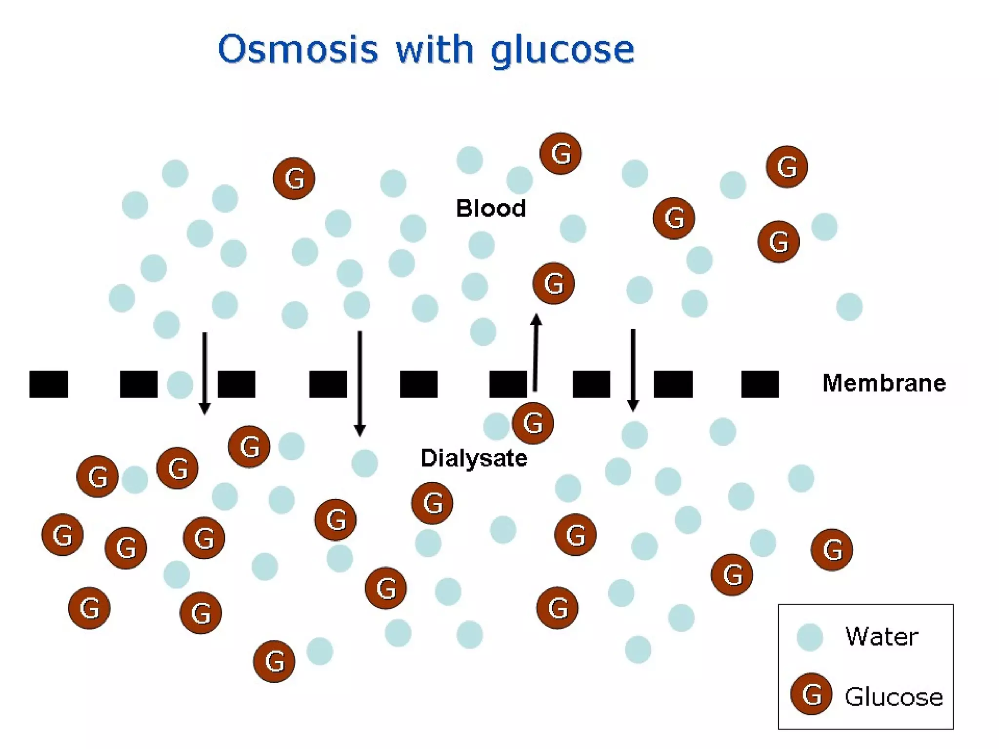 Biochemistry lecture 1 | PPT