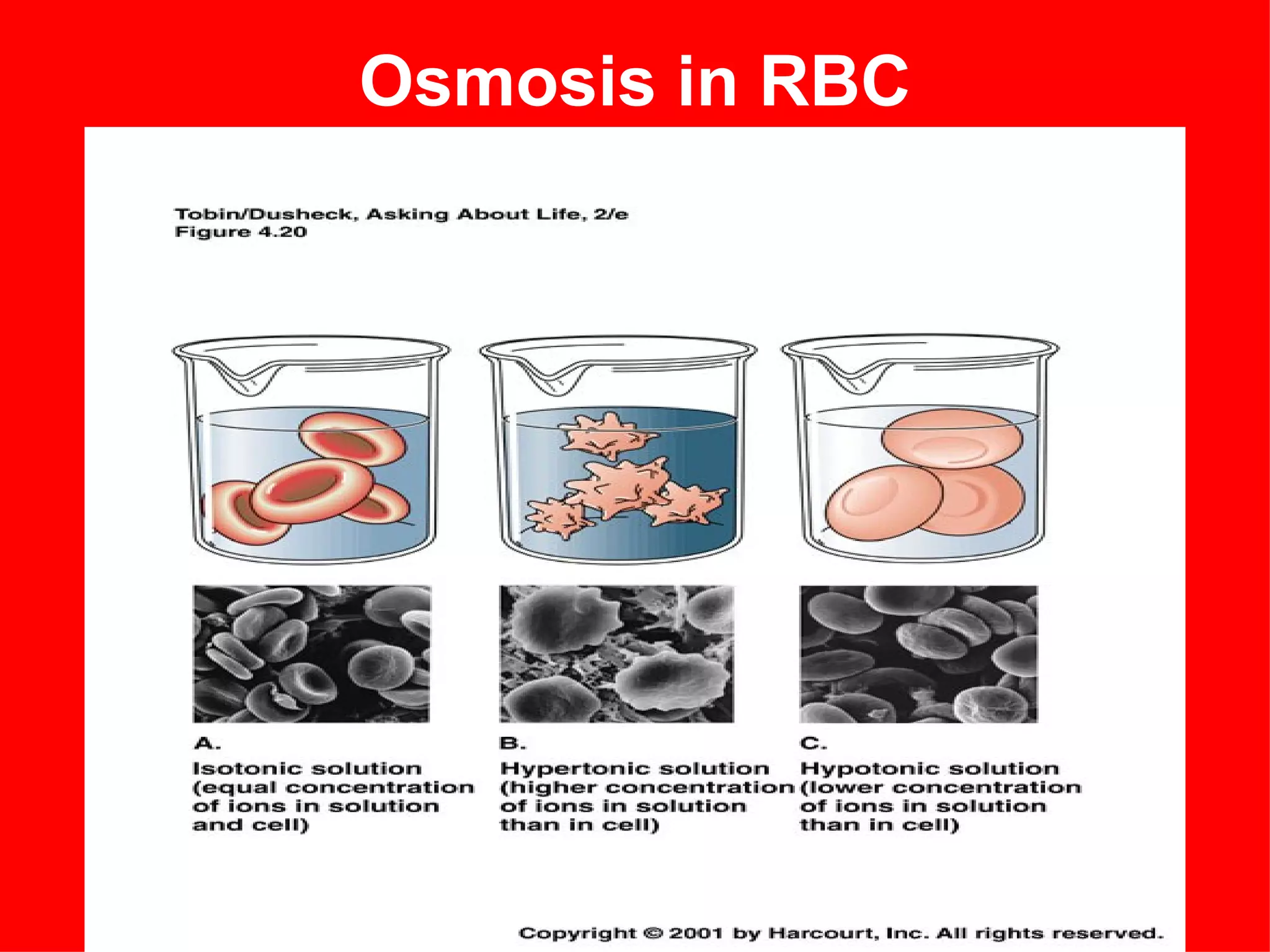 Biochemistry lecture 1 | PPT