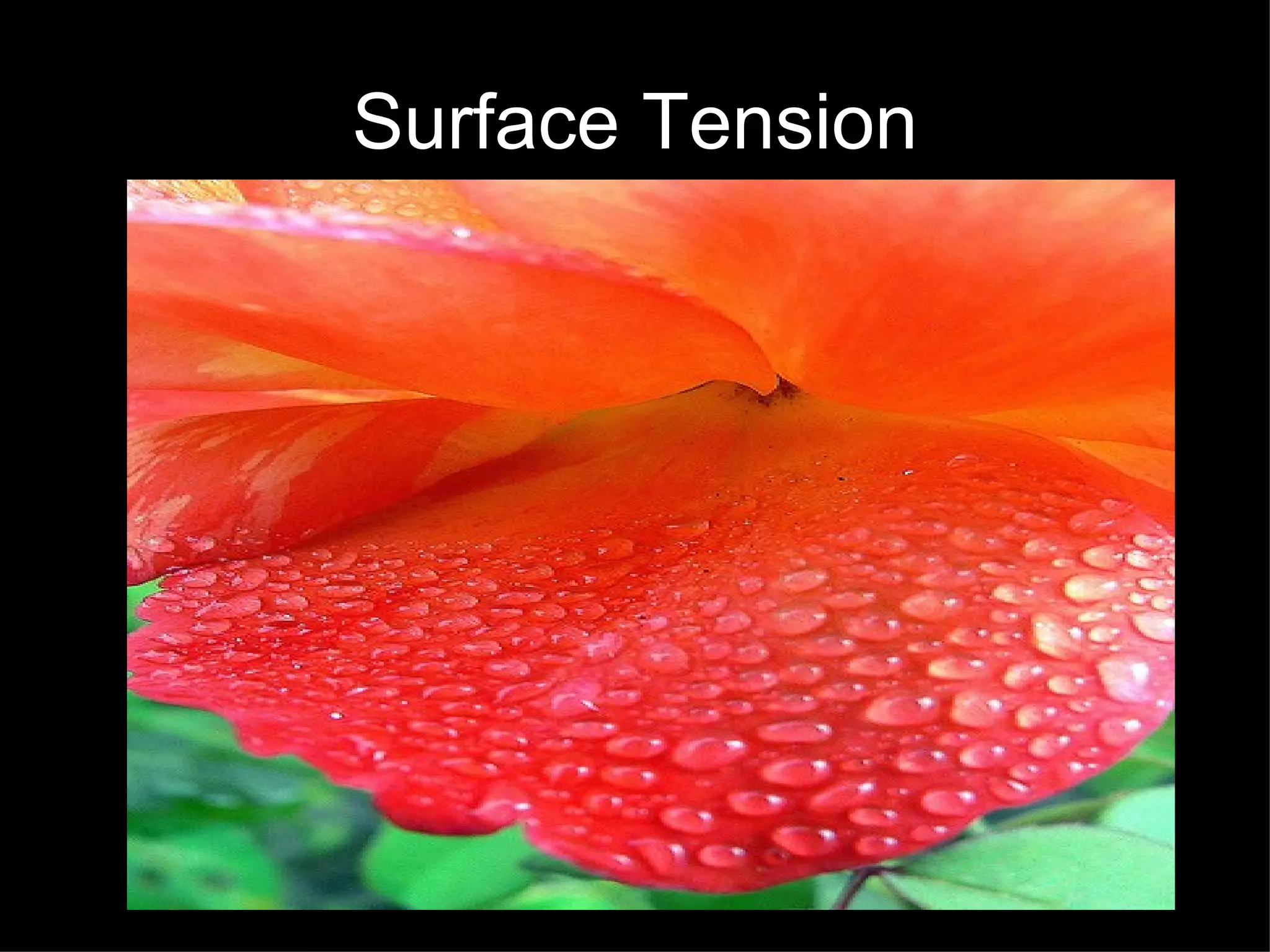 Biochemistry lecture 1 | PPT