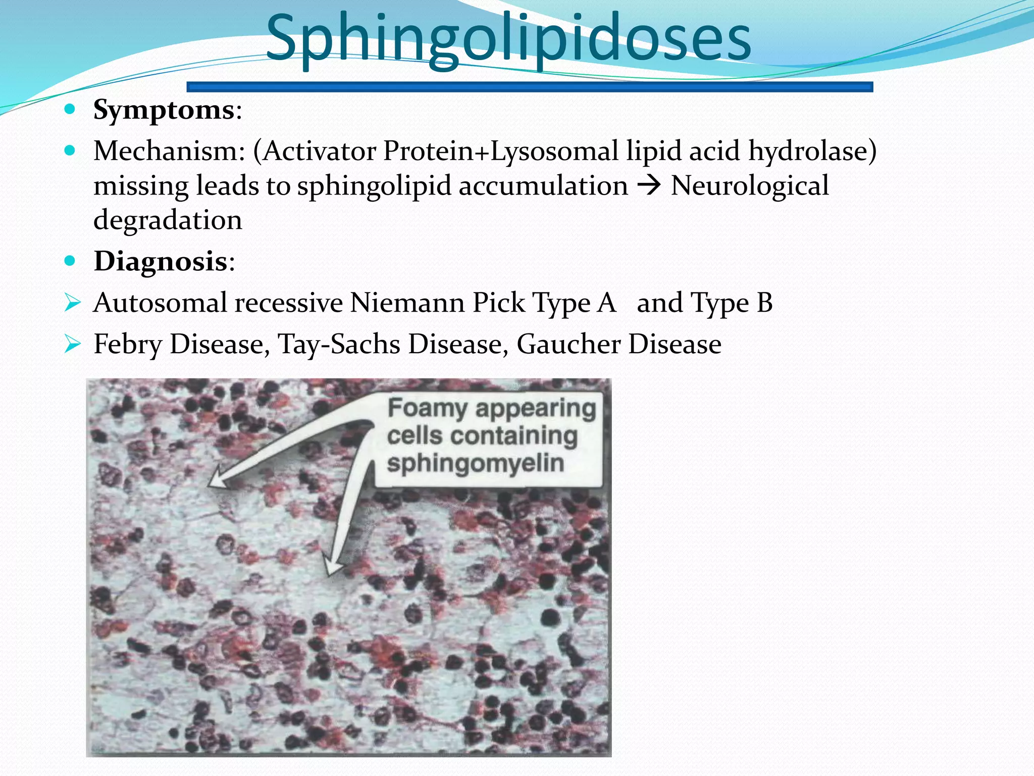 Biochemistry lecture 14 chemistry of lipids 2 | PPTX